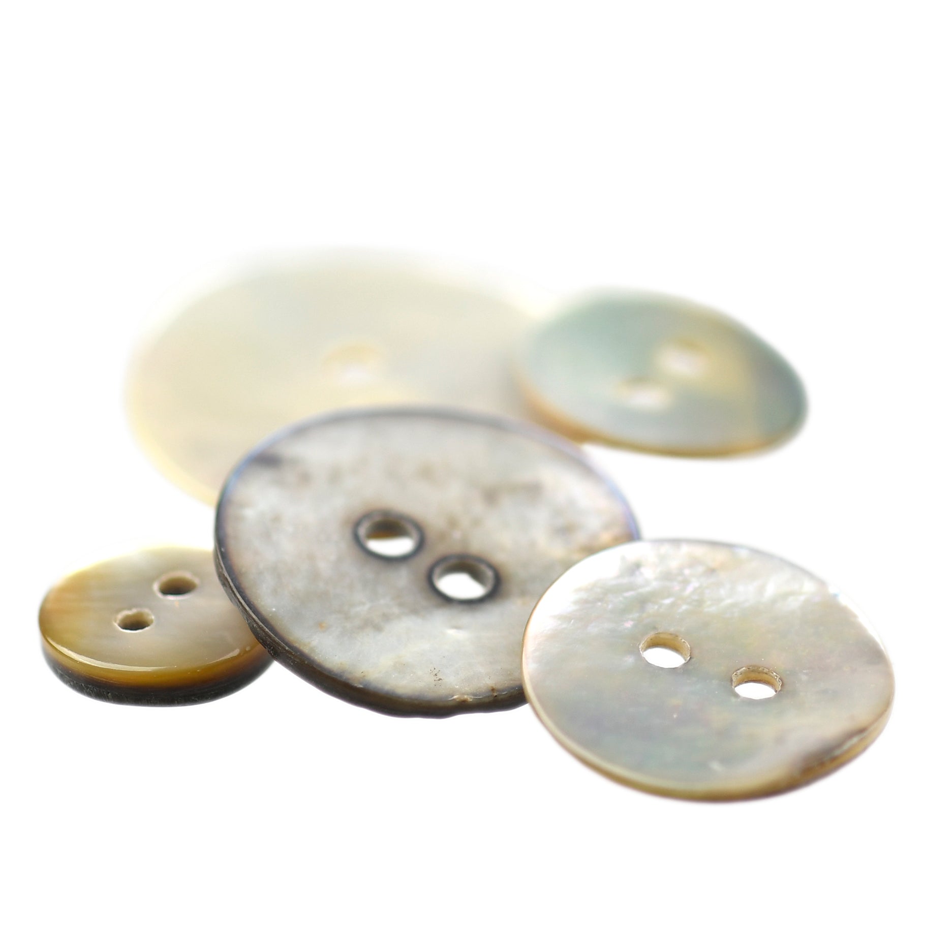 Shell & Imitation-shell Buttons – JackStock Haberdashery